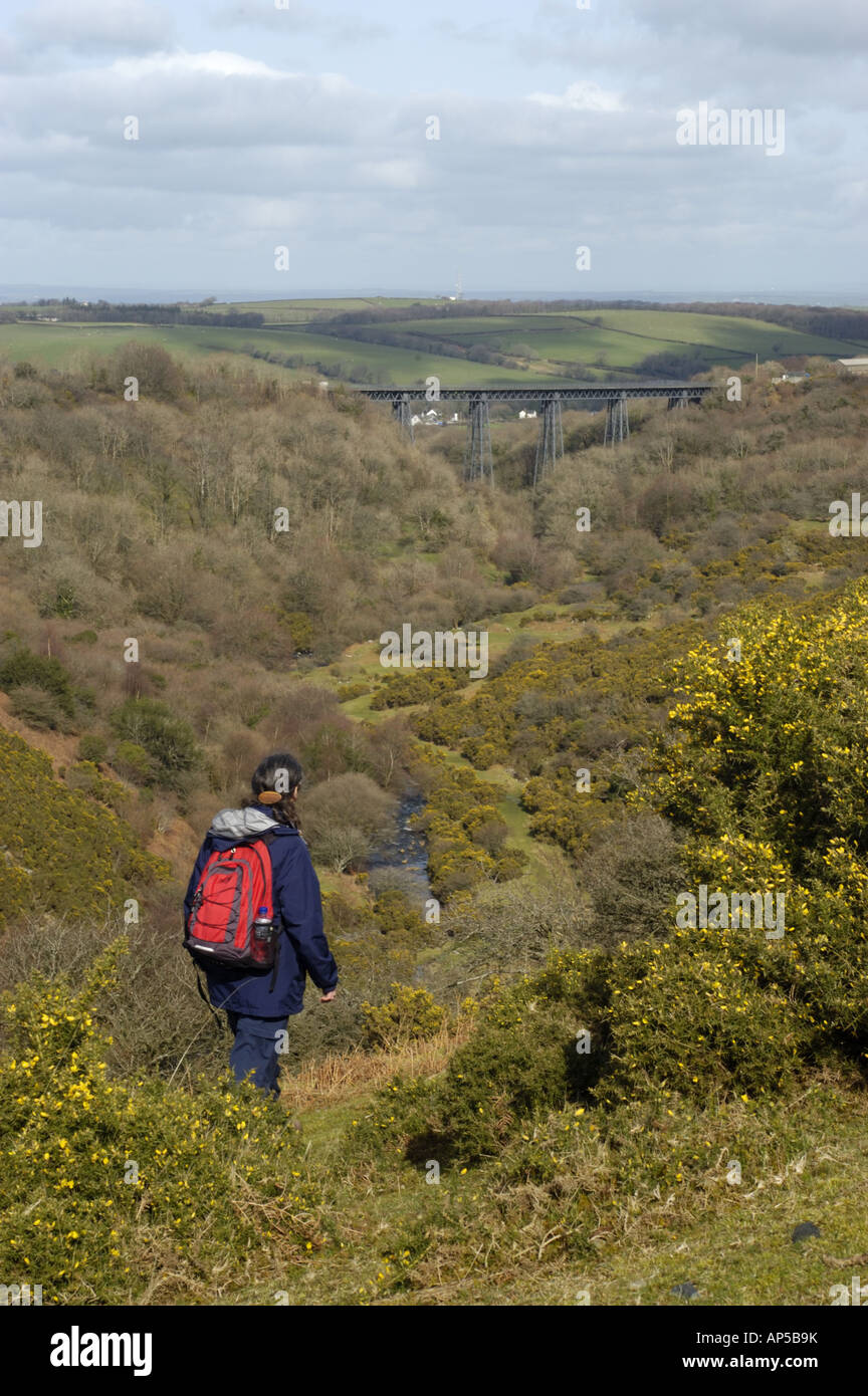 The formerMeldon railway viaduct in Dartmoor National Park Devon ...