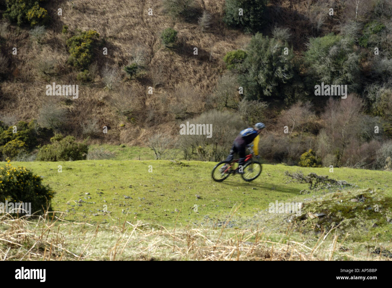 Off road cyclist decending a hill near Meldon reservoir in Dartmoor ...