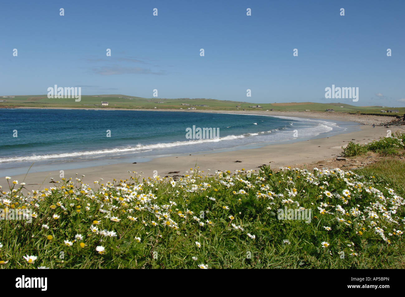 The beach at the Bay of Skaill on Orkney Mainland Scotland Stock Photo ...