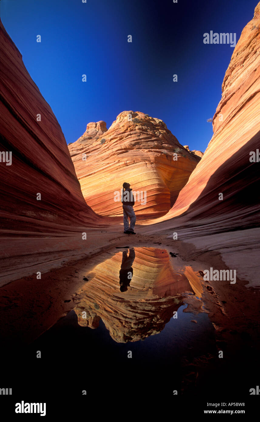 Wave grand staircase escalante national monument hi-res stock ...