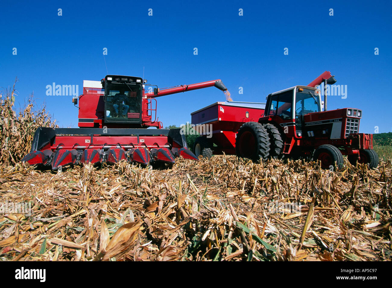 Combine unloading harvested corn into waiting gondola hopper behind ...