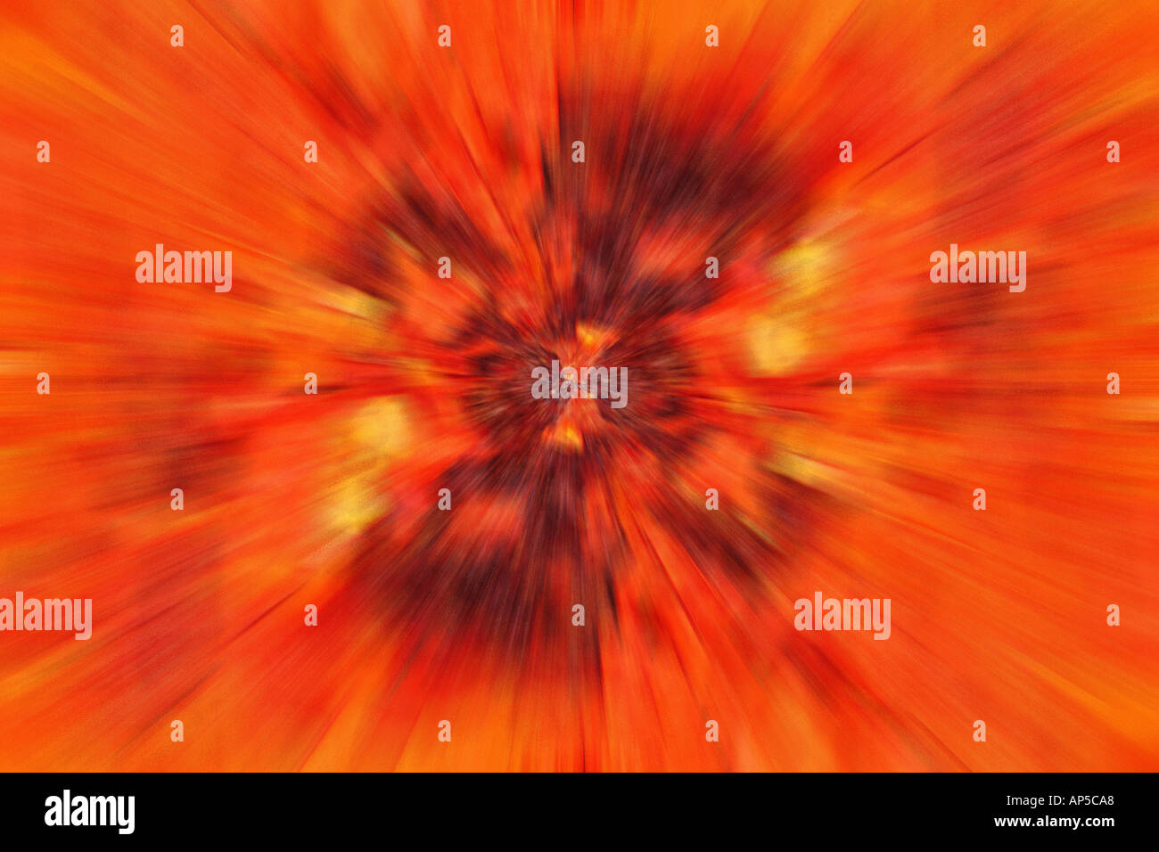 Melded hi-res stock photography and images - Alamy