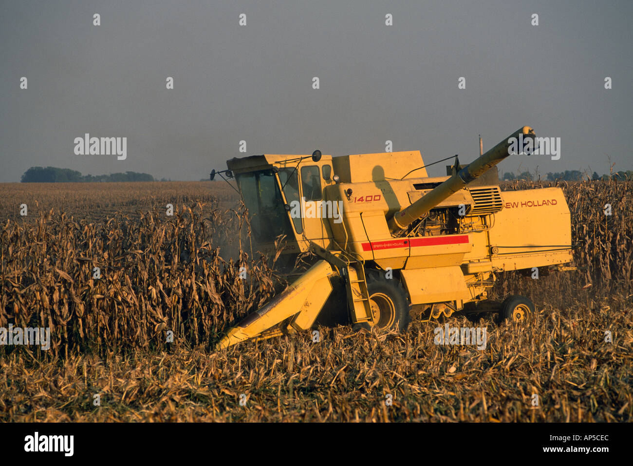 Combine Harvesting Corn Crop In Central Iowa Stock Photo - Alamy