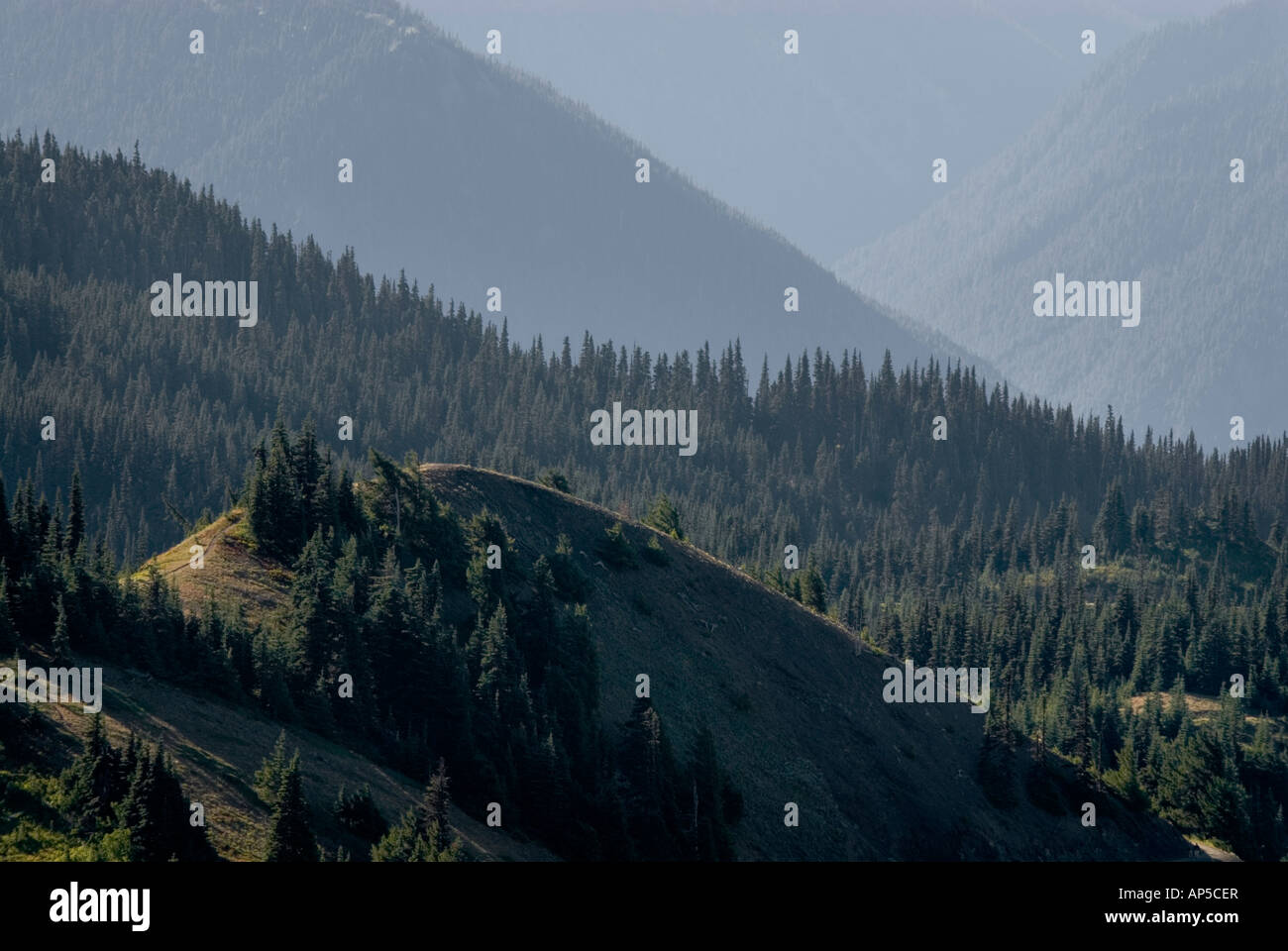 trail on ridgetop,mountains Stock Photo - Alamy