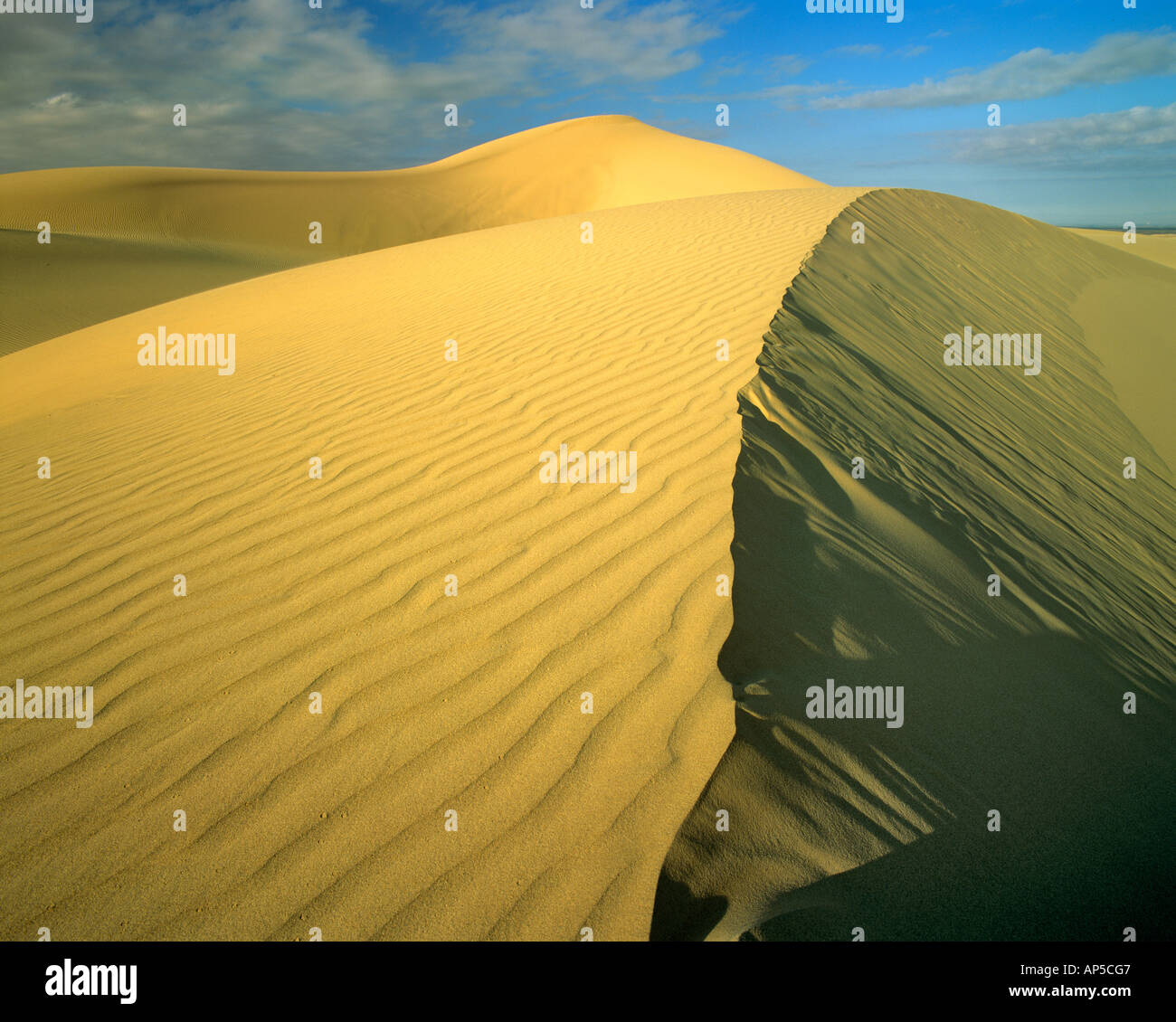 Glamis Sand Dunes in California Stock Photo - Alamy