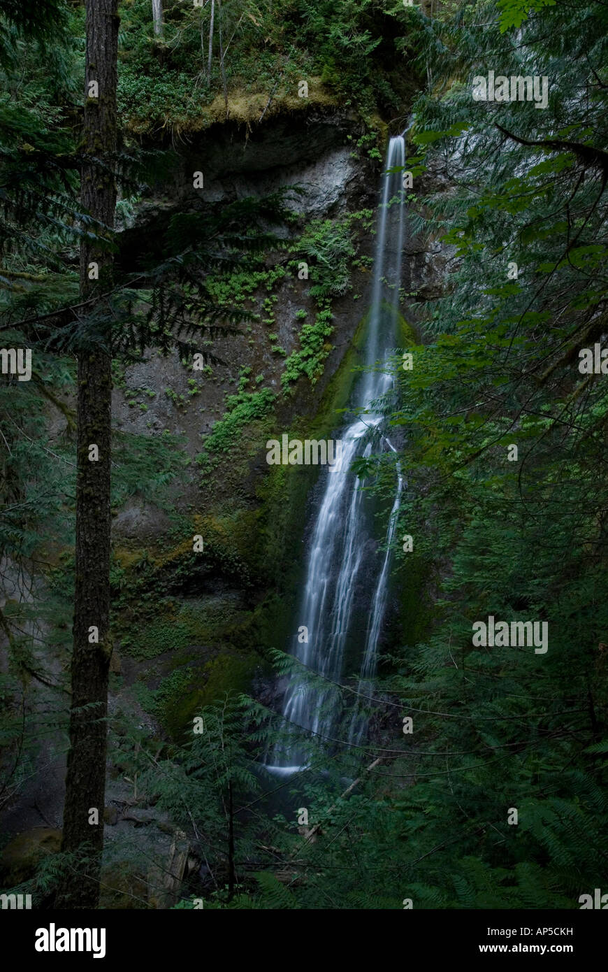 waterfall seen through trees Stock Photo - Alamy