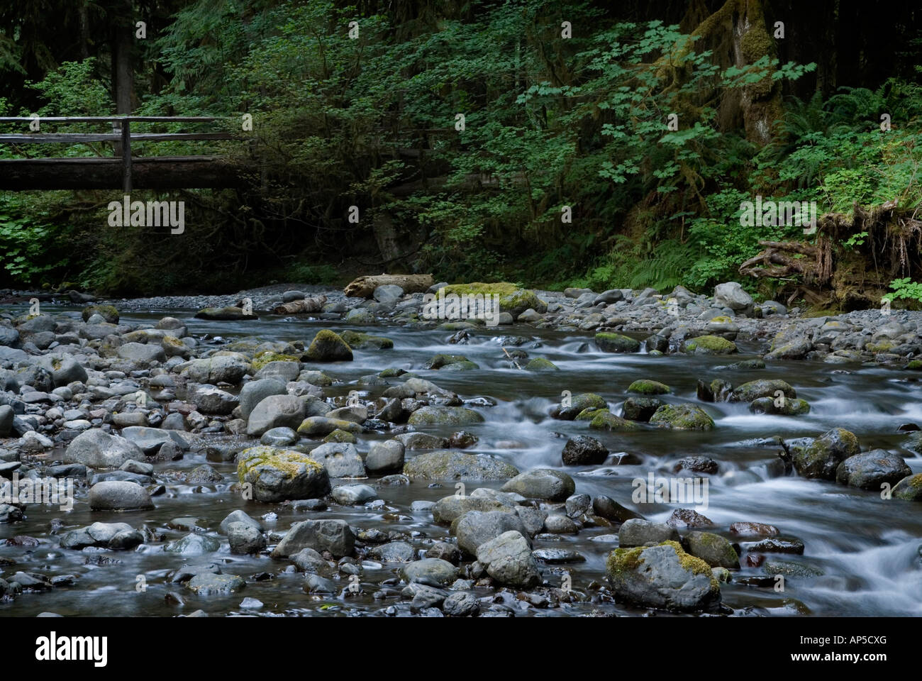 log footbridge over stream Stock Photo - Alamy
