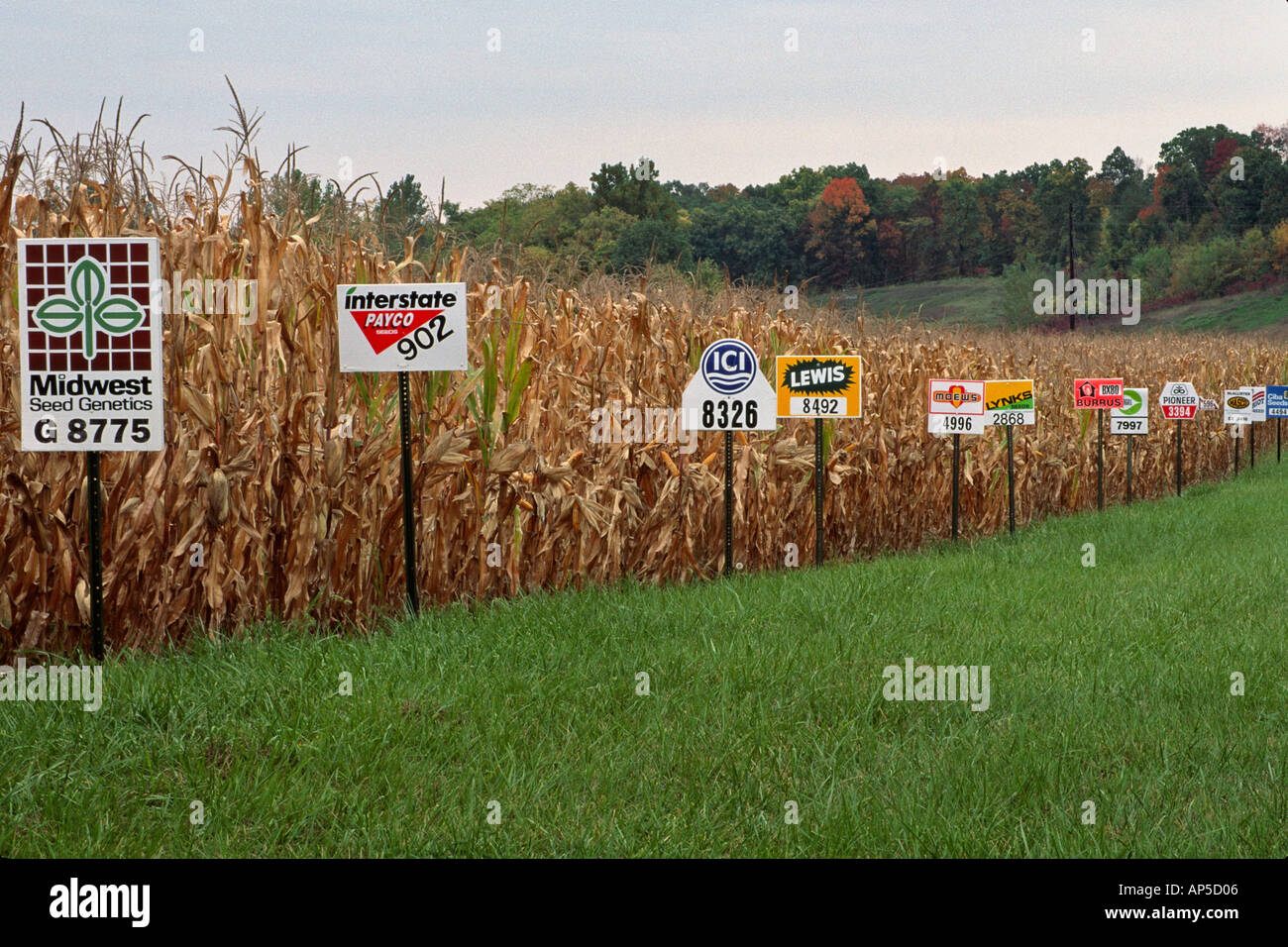 Test cornfield with corn seed brand signs identifying different seed ...