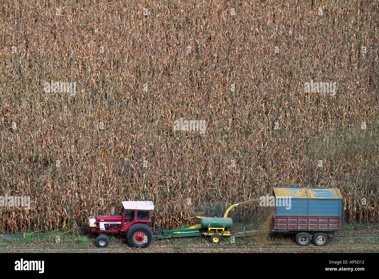 Fall corn harvesting Hannibal Missouri Stock Photo - Alamy