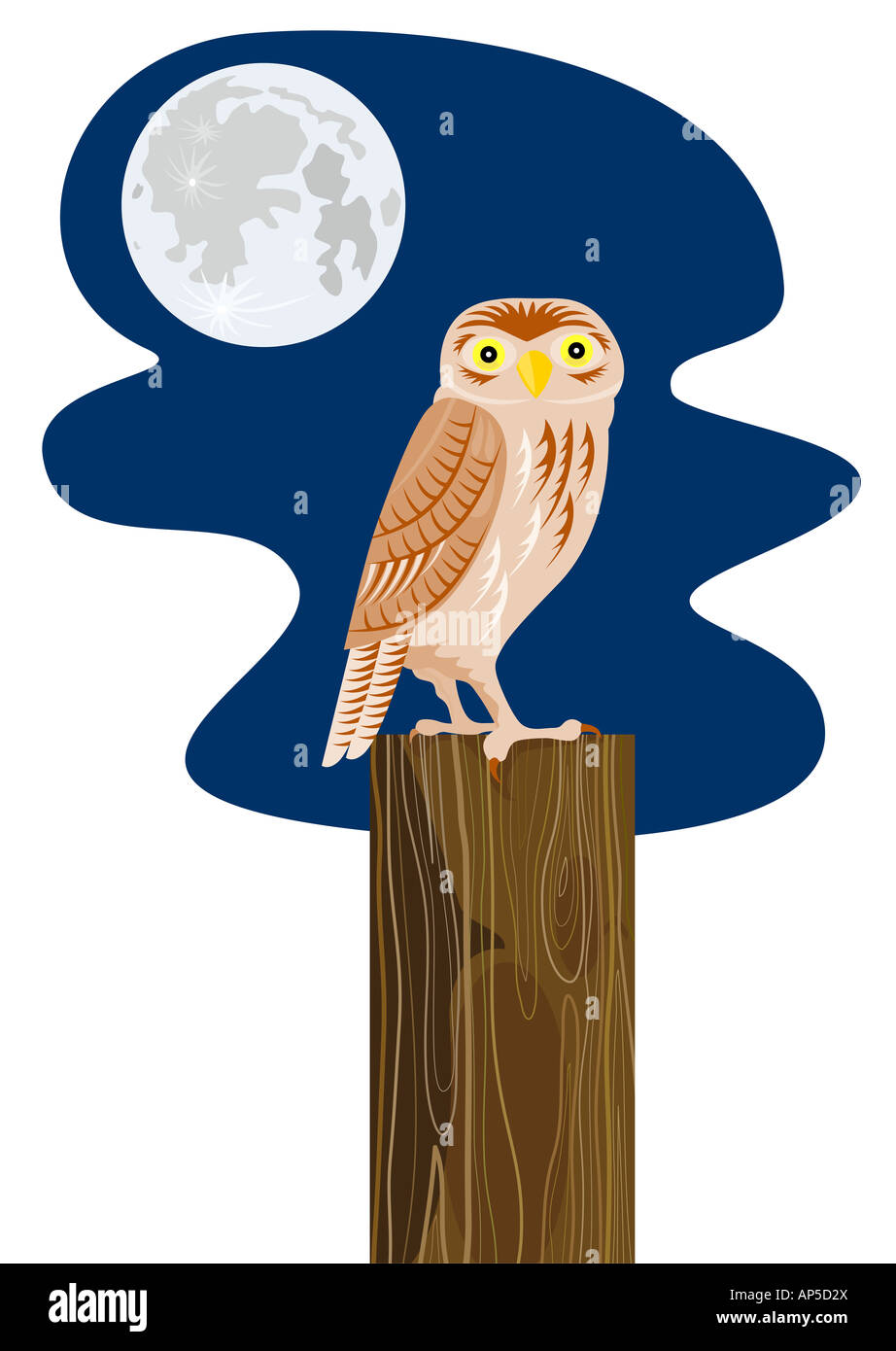 Lunar owl hi-res stock photography and images - Alamy