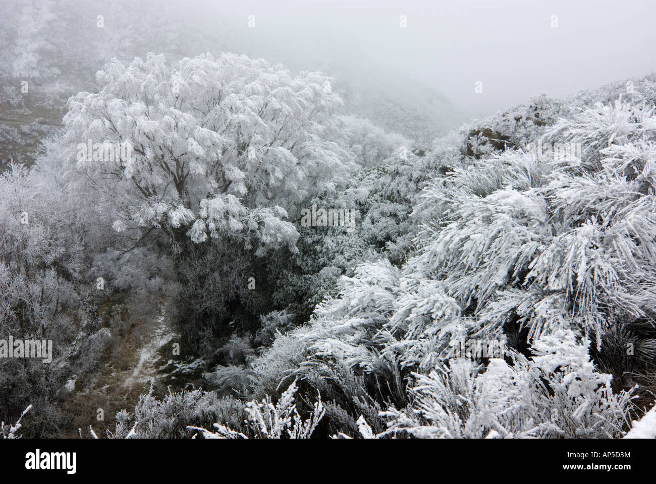 Pretty gully hi-res stock photography and images - Alamy