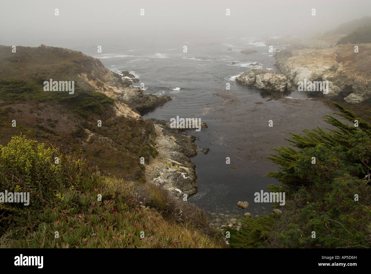 shoreline along California Highway 1 Stock Photo - Alamy