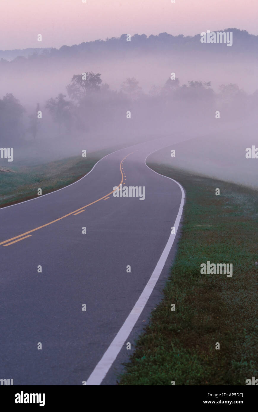 winding paved road,fog,green grass,trees,dawn sky Stock Photo - Alamy