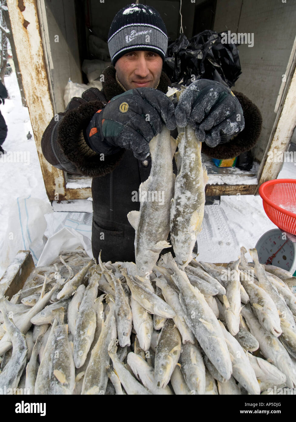 Man selling frozen fish at outdoor market stall in Yuzhno Sakhalinsk ...