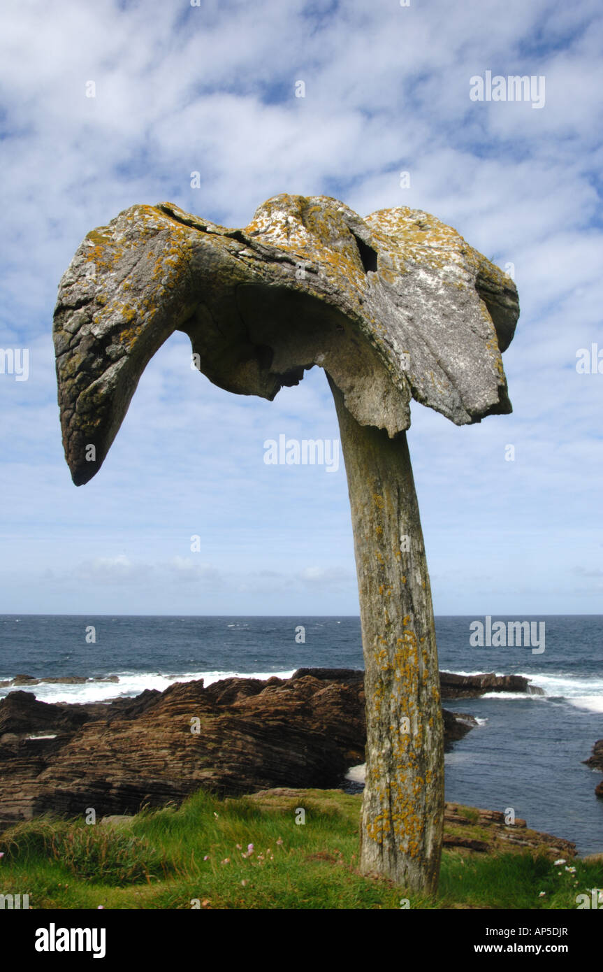 Whale bone pelvis at Brough of Birsay Mainland Orkney with Brough Head ...