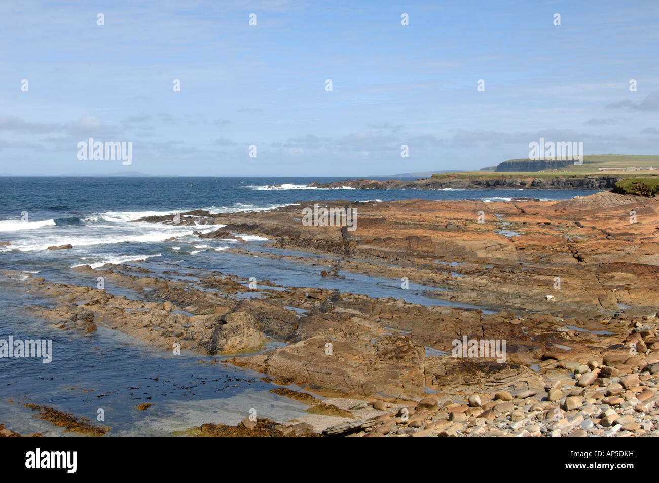 The coast near the Brough of Birsay Brough Head Mainland Orkney ...