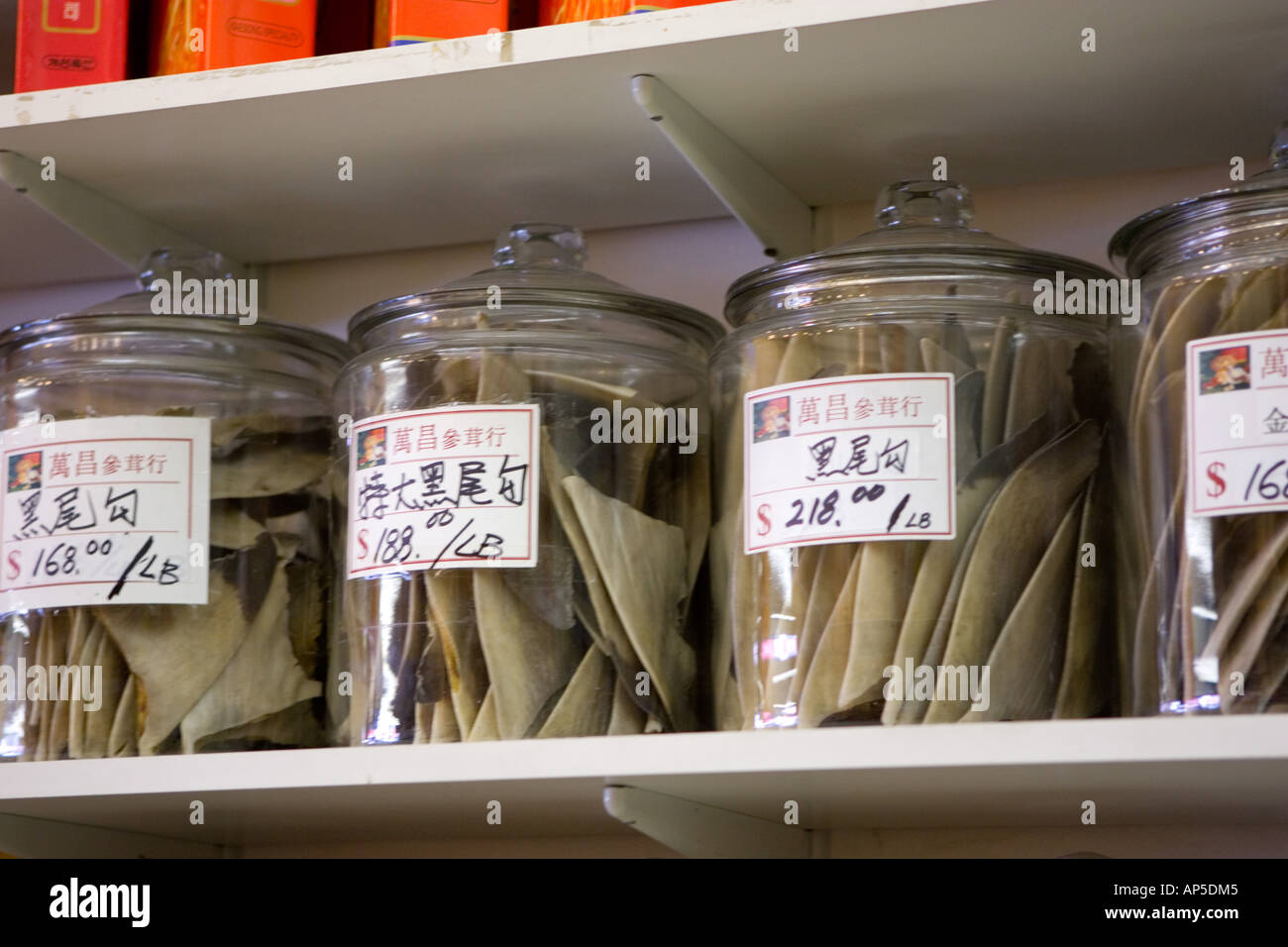 Shark fins usa hi-res stock photography and images - Alamy