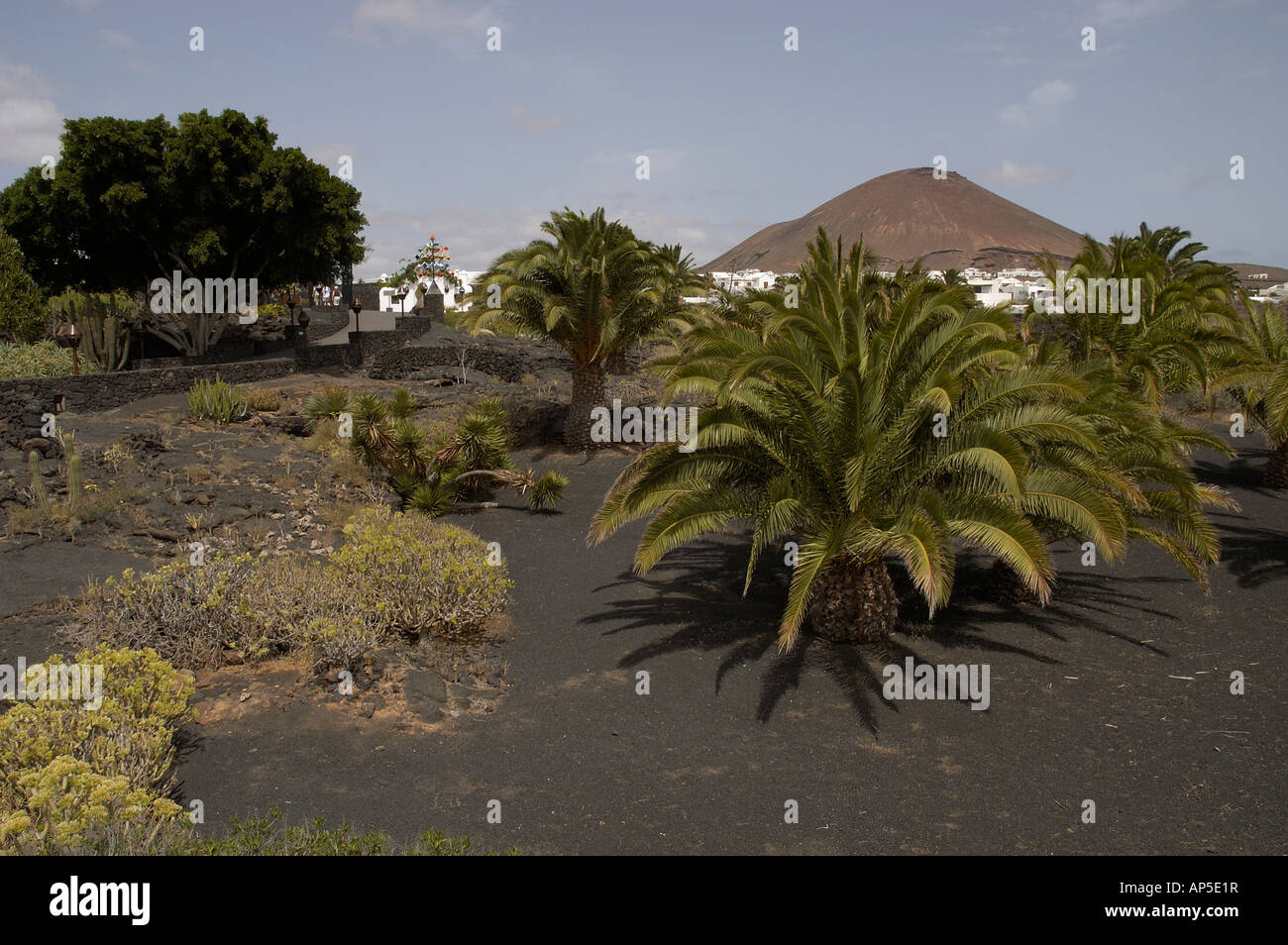 The front garden of the premises of the Cesar Manrique Foundation ...