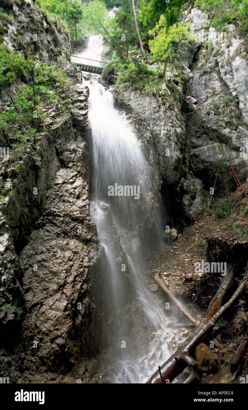 Carpathes hi-res stock photography and images - Alamy