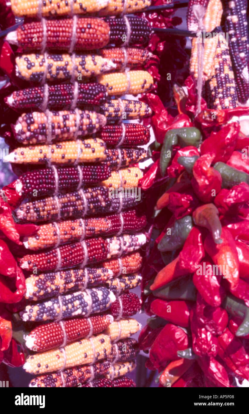 Native american corn hi-res stock photography and images - Alamy