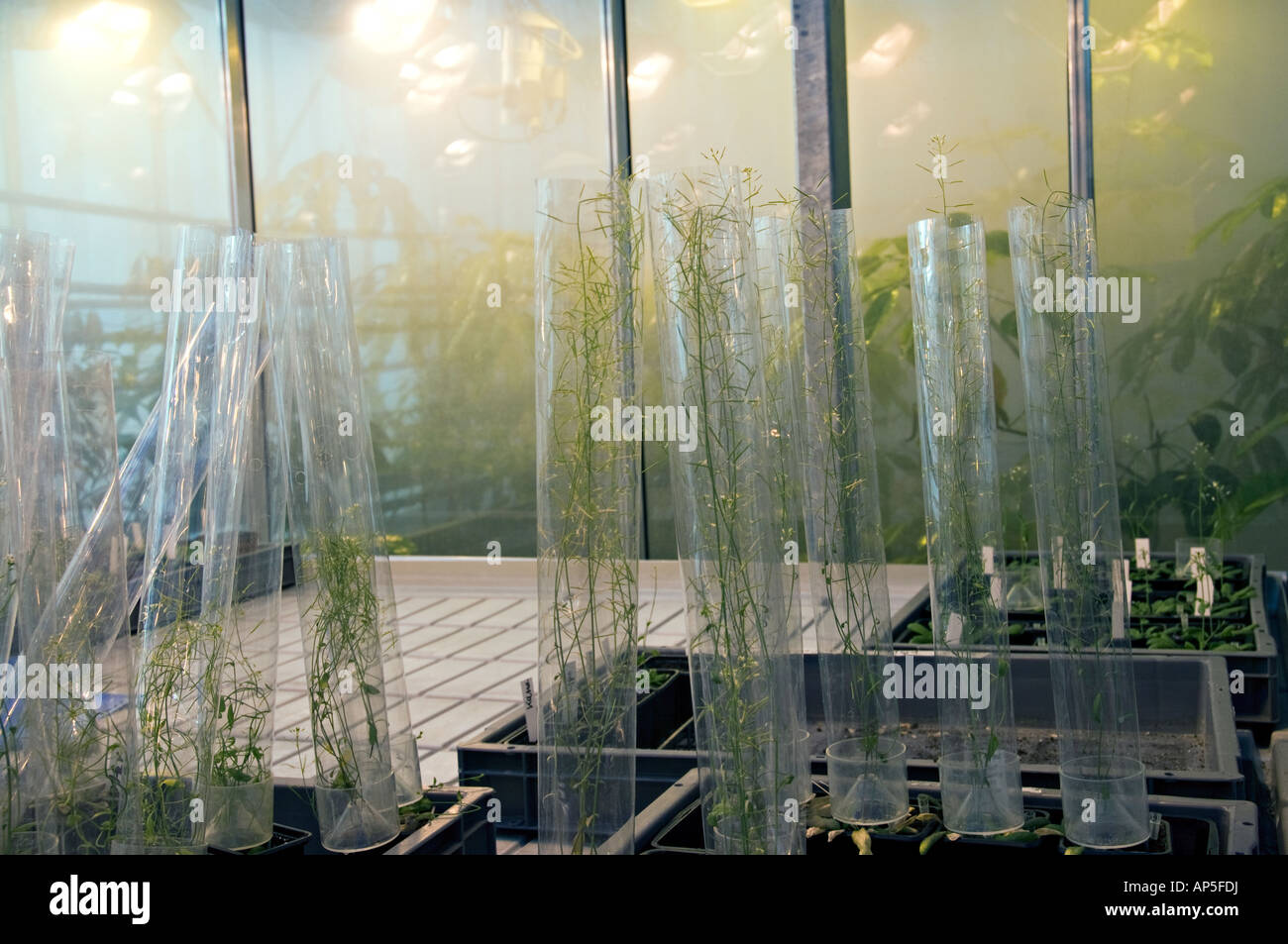 Biotechnical hi-res stock photography and images - Alamy