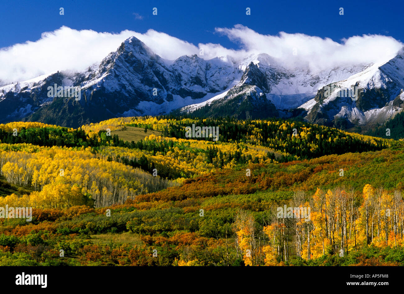 Autumn colors in the Sneffels Range of Colorado Stock Photo - Alamy