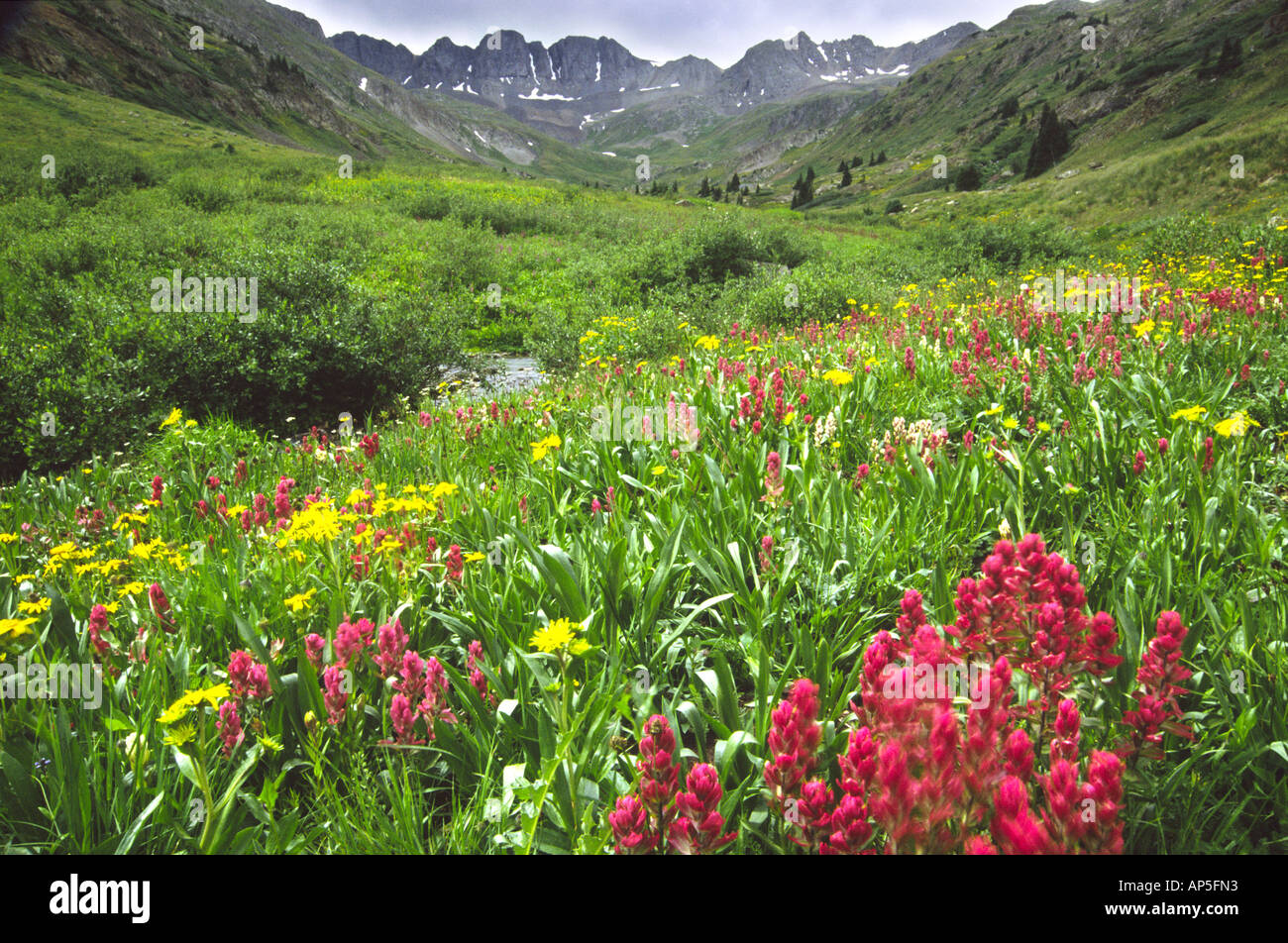 USA, Colorado, Lake City, American Basin in San Juan Mountains Stock ...
