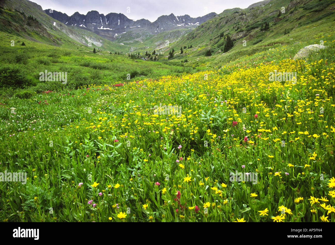 USA, Colorado, Lake City, American Basin in San Juan Mountains Stock ...