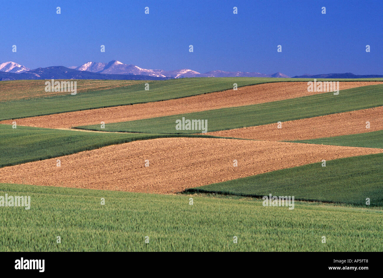 Fallow rotation hi-res stock photography and images - Alamy