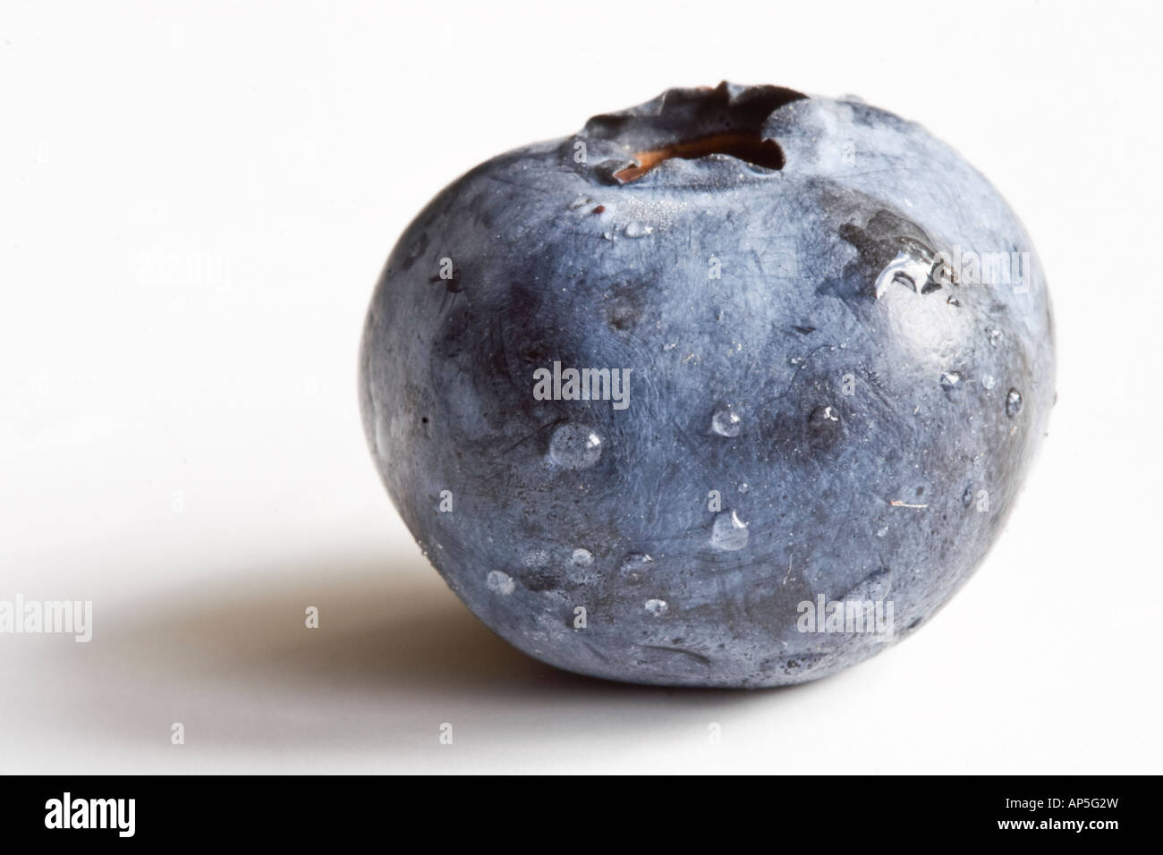Single Blueberry High Resolution Stock Photography and Images - Alamy