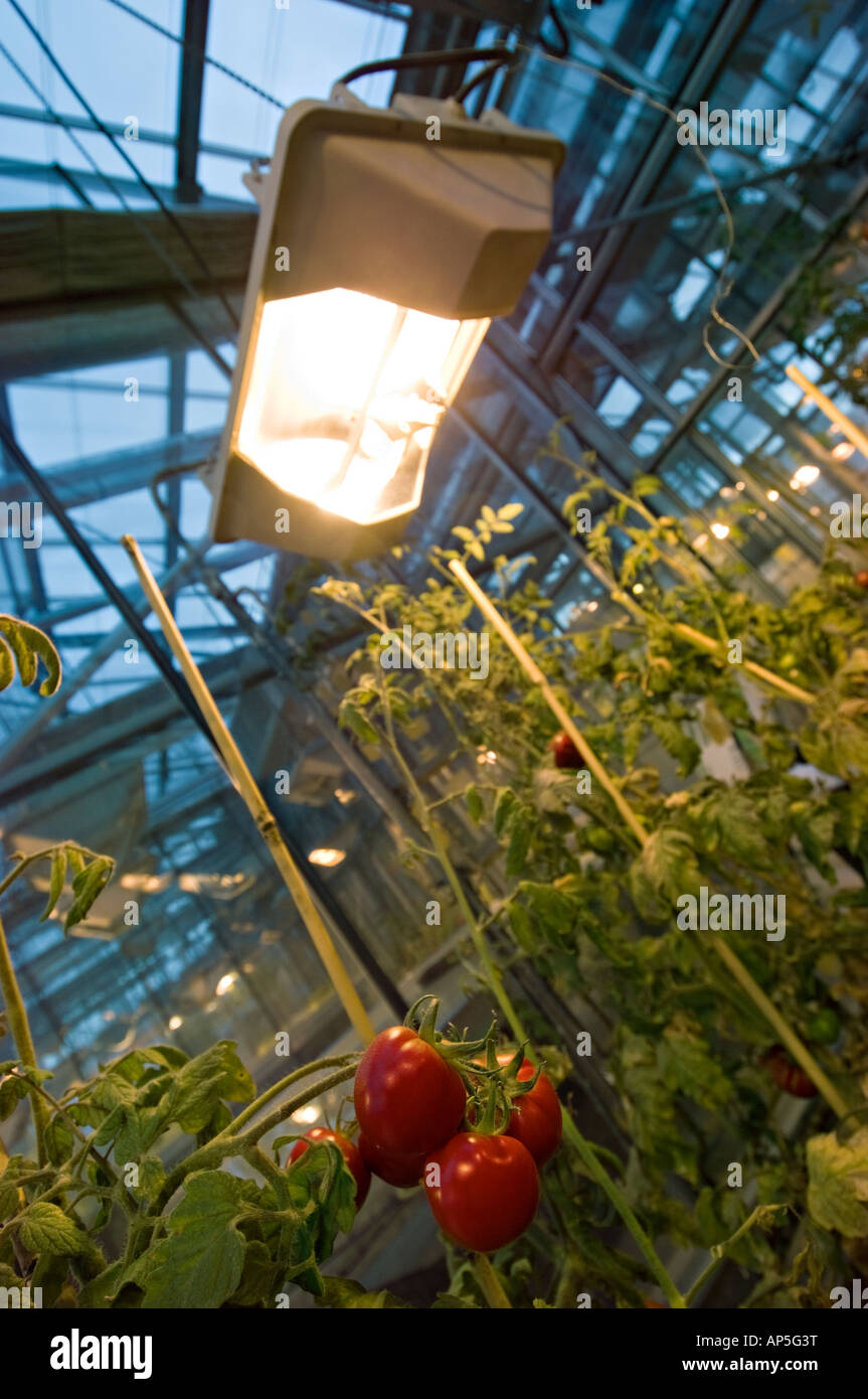 Biotechnical hi-res stock photography and images - Alamy