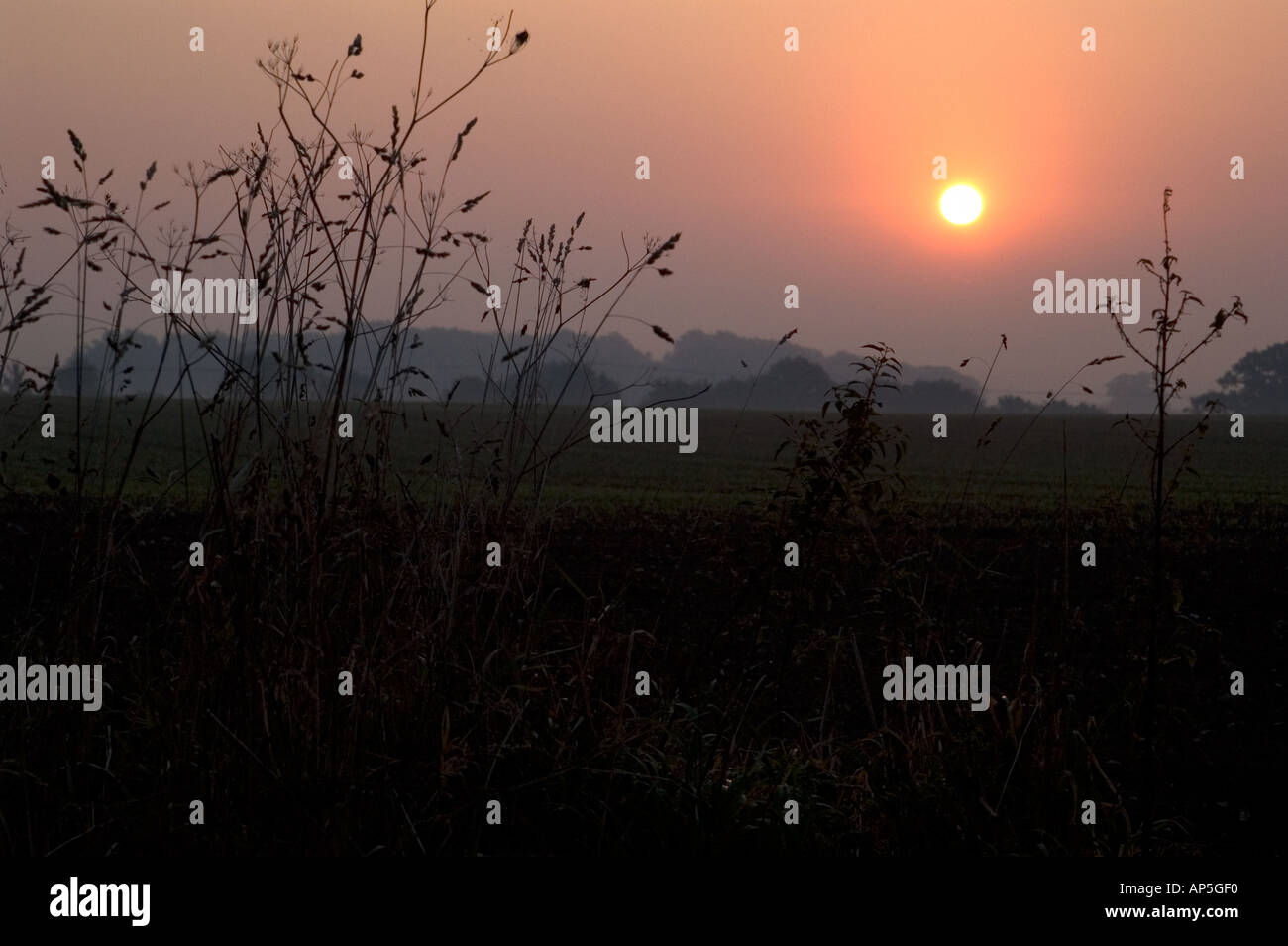sunrise over fields Stock Photo - Alamy