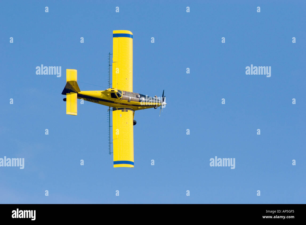 A crop duster spraying a corn field with insecticide west of Danville ...