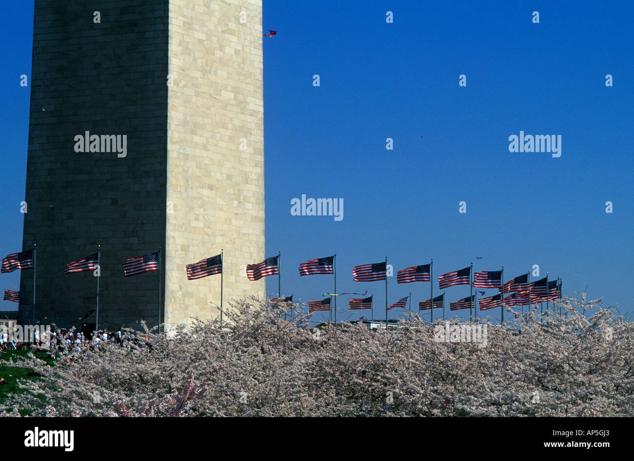 Flags encircle the base of the Washington Monument, in Washington DC ...