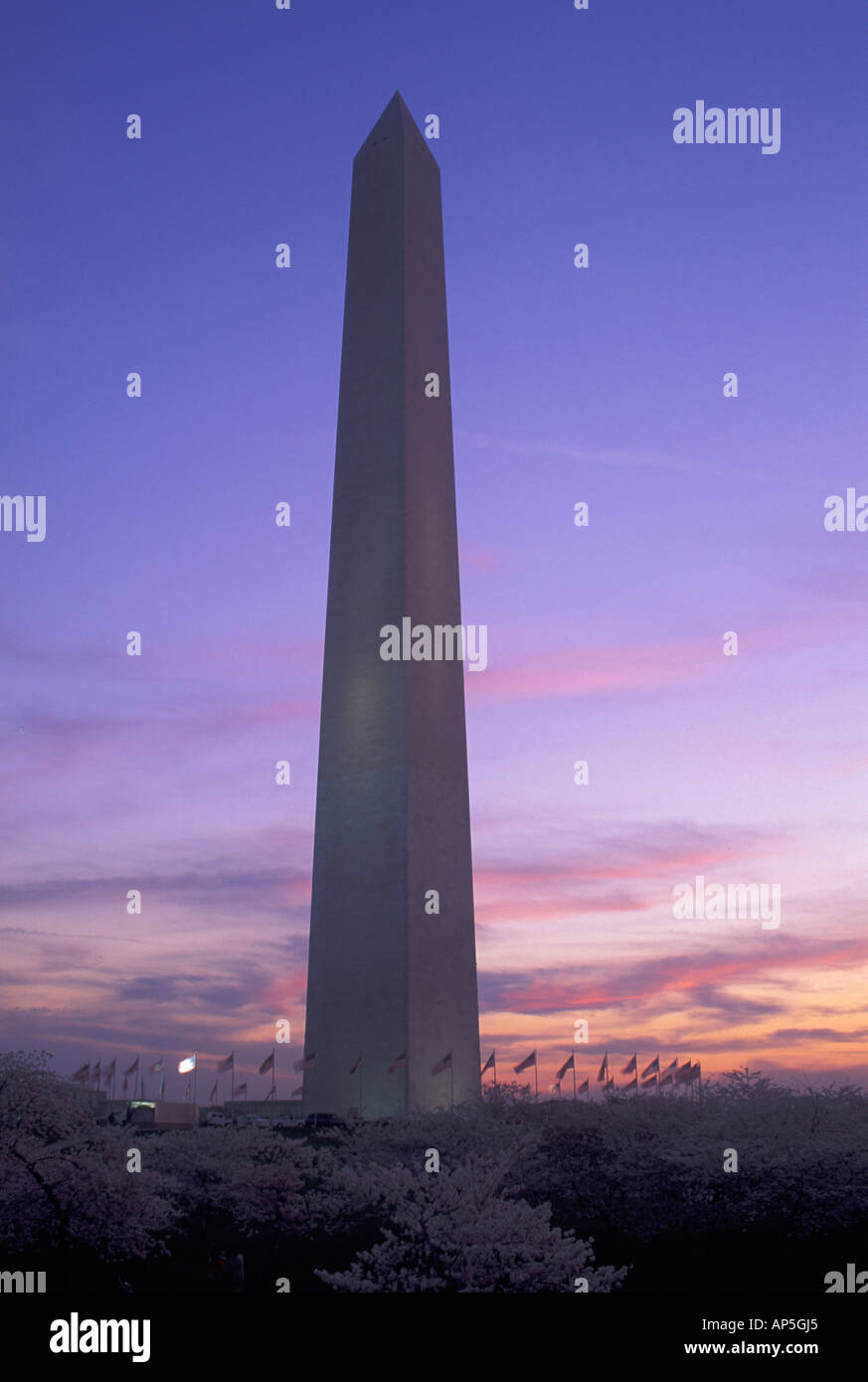 the washington monument stands proudly as the sun rises over Washington ...