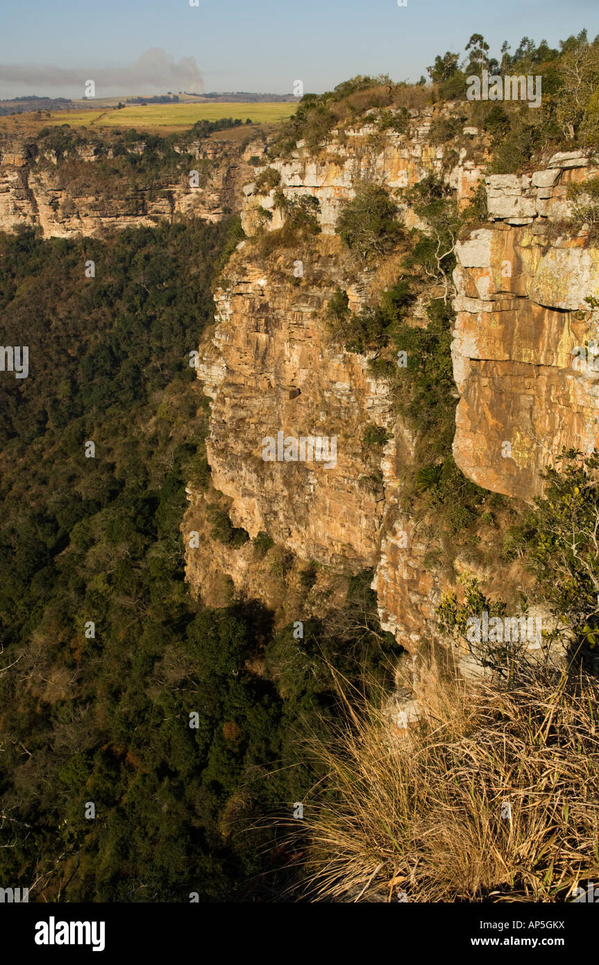 Oribi Gorge Nature, Reserve KwaZulu Natal, South Africa Stock Photo - Alamy