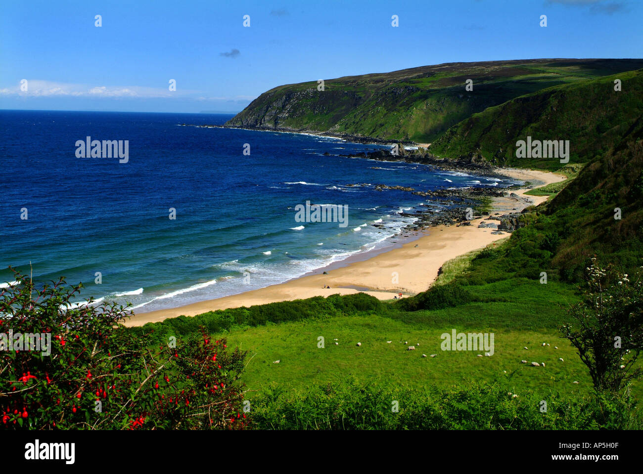 Kinnagoe Beach, County Donegal, Ireland Stock Photo - Alamy
