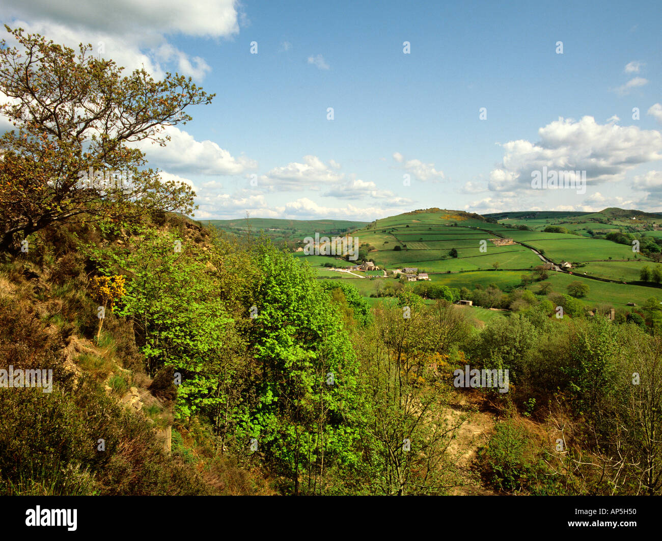 Cocksheadhey hi-res stock photography and images - Alamy