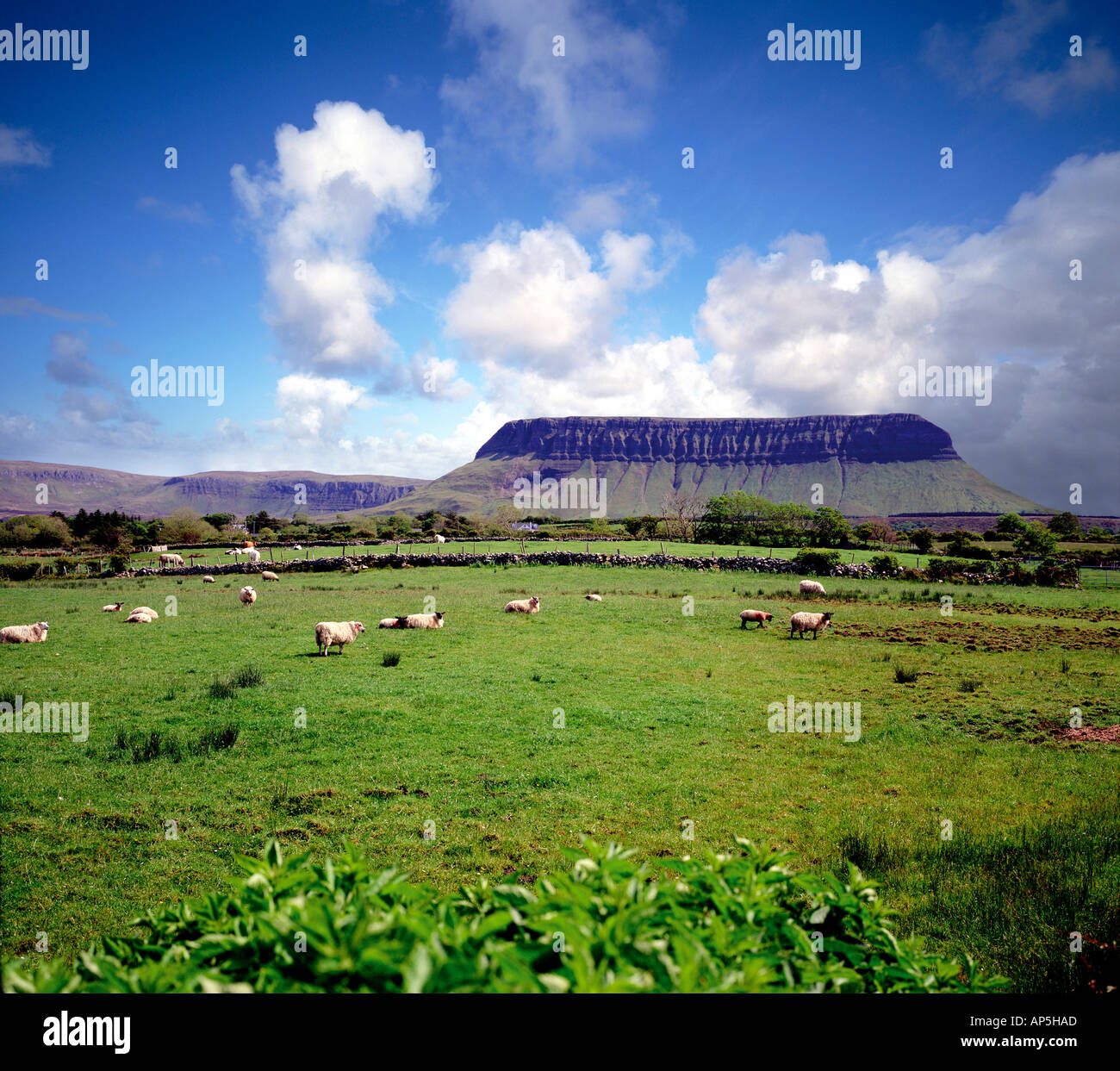 Benbulben Mountains, Co. Sligo, Ireland Stock Photo - Alamy