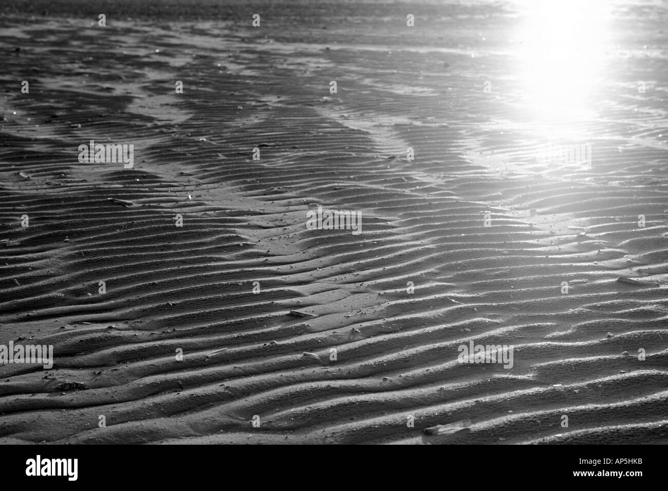 Wave patterns in light sand Black and White Stock Photos & Images - Alamy