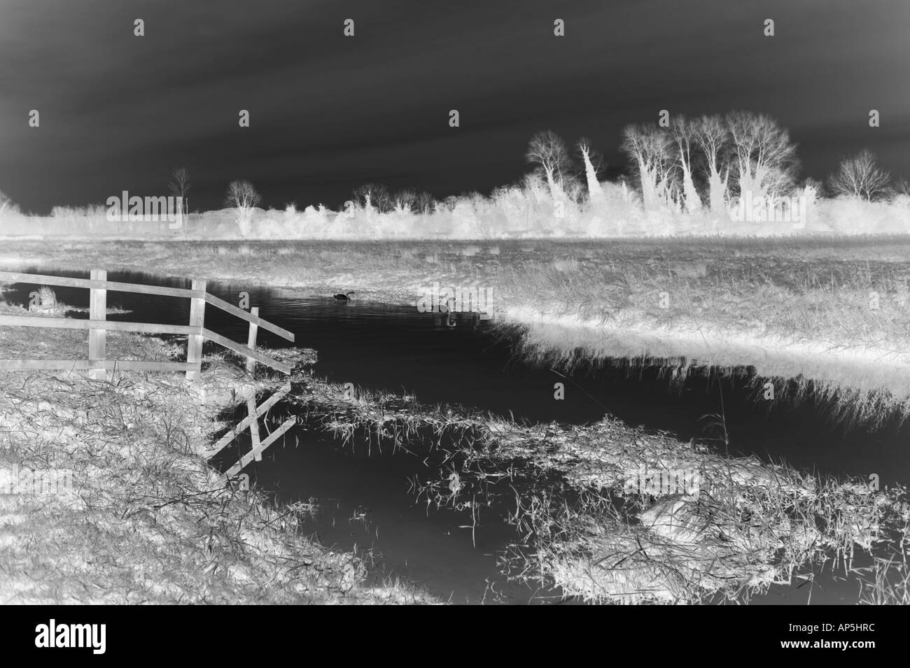 Digitally enhanced Black and White Stock Photos & Images - Alamy