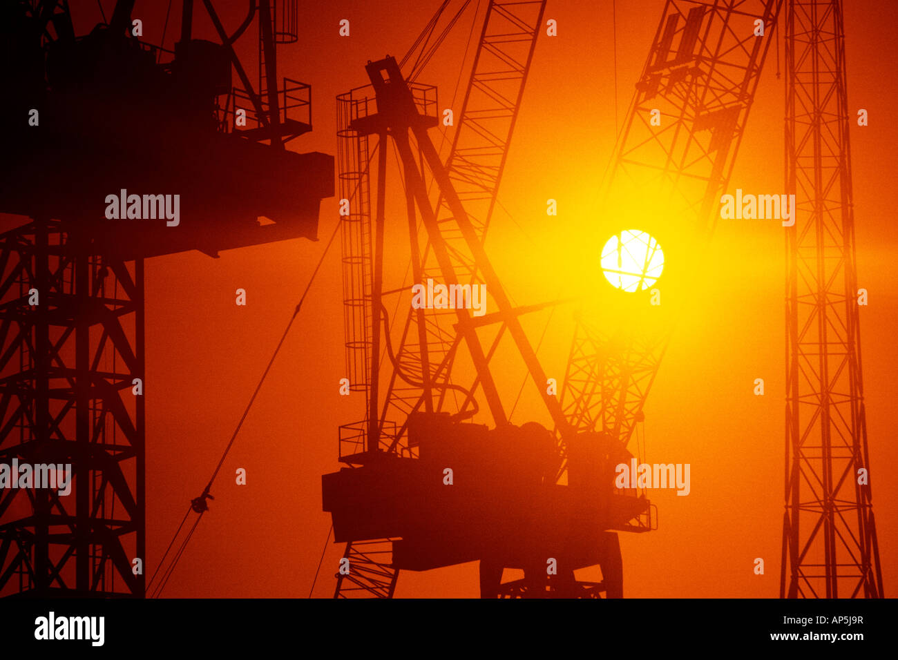 Construction tower cranes at sunset Stock Photo - Alamy