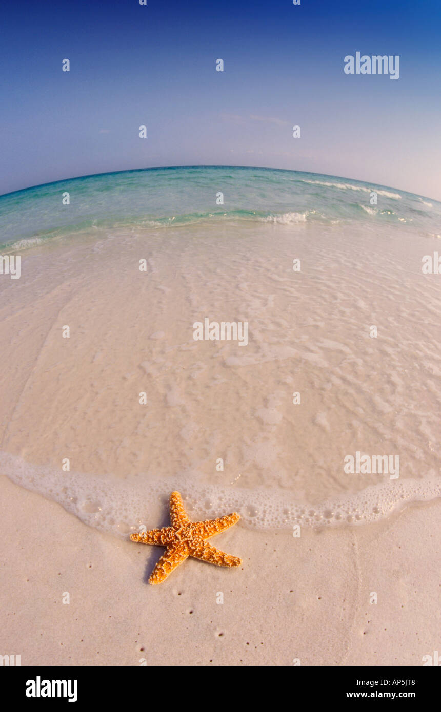 Tropical island rosa sand beach hi-res stock photography and images - Alamy