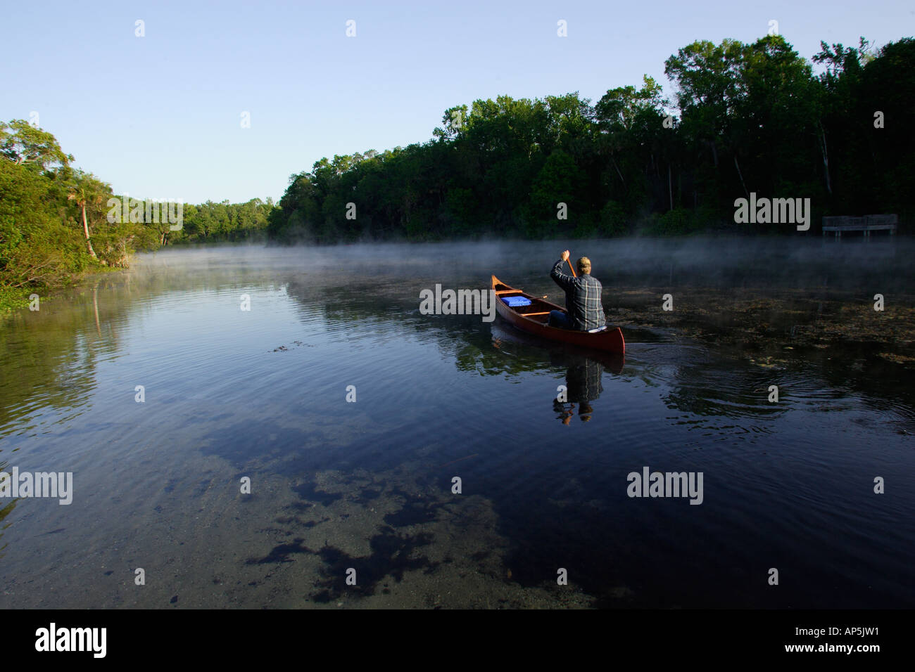 USA, Florida, Ocala National Forest, Alexander Springs Recreational ...