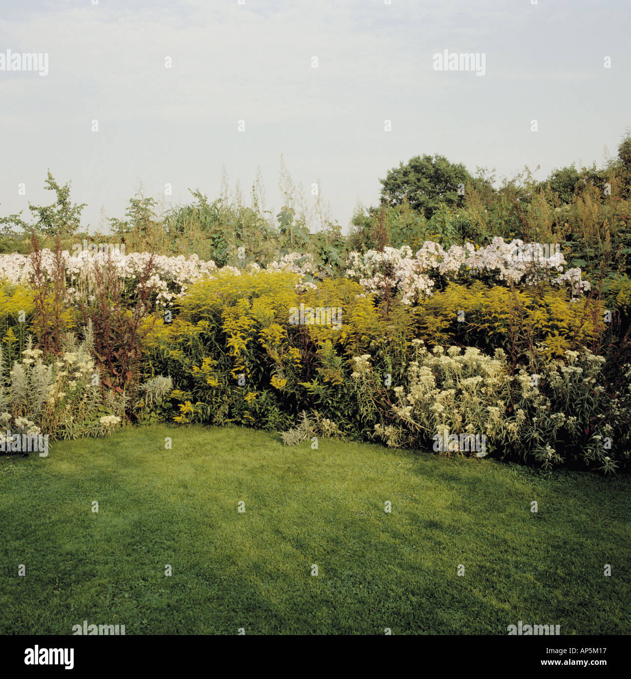 Garden Lawn with Plant Borders Stock Photo - Alamy