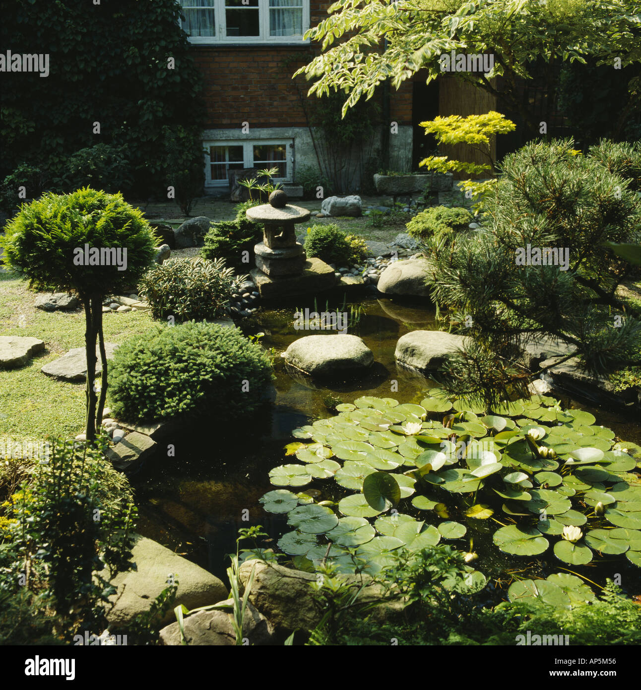 Informal oriental pond with stepping stones and waterlilies in suburban ...