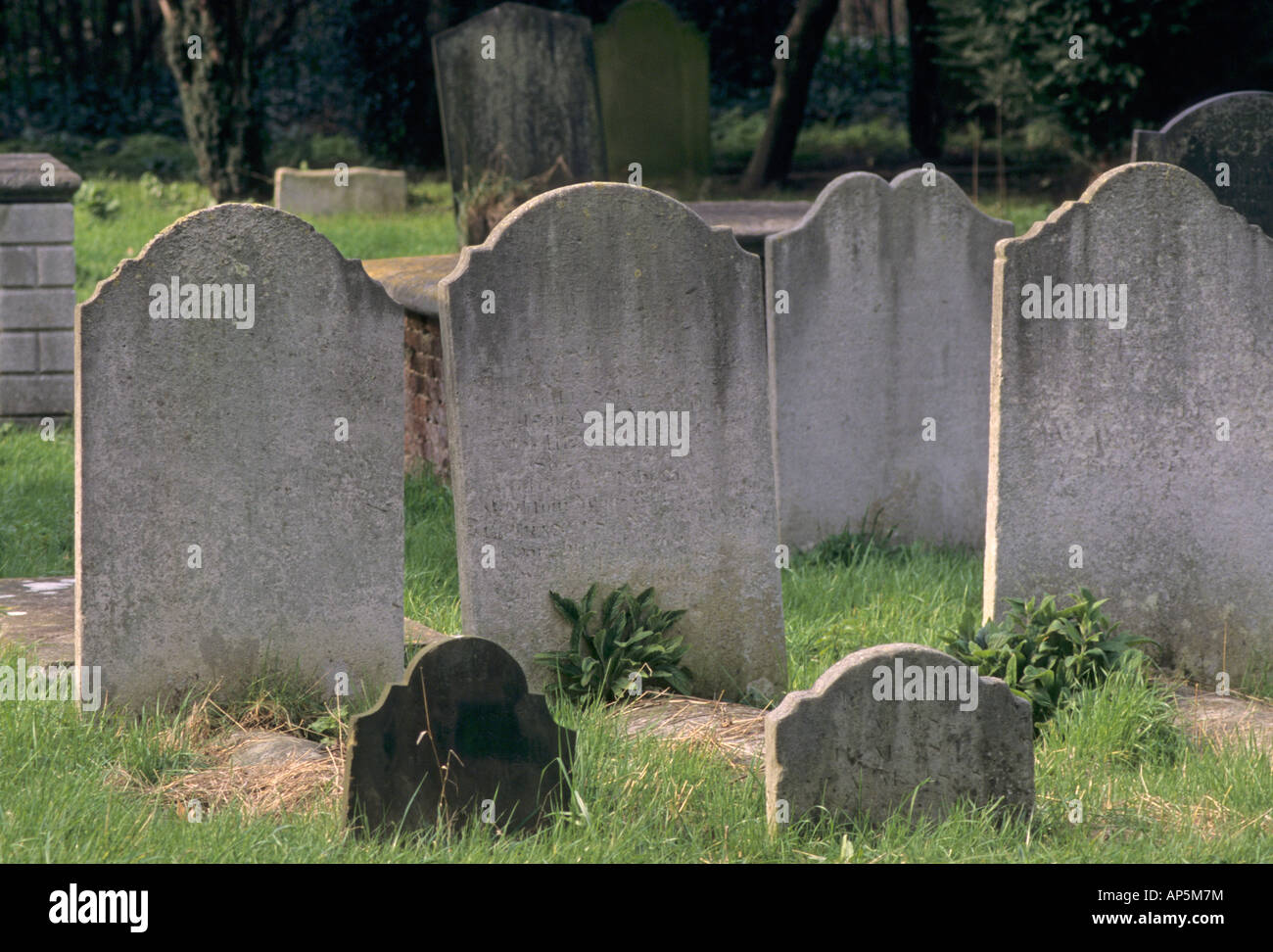 Highgate cemetery London England UK Stock Photo - Alamy