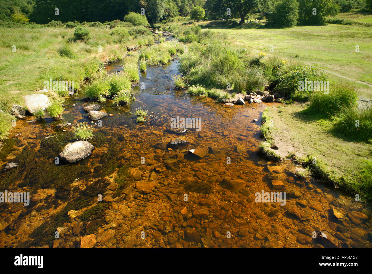 Stream Dartmoor National Park Devon UK Stock Photo - Alamy