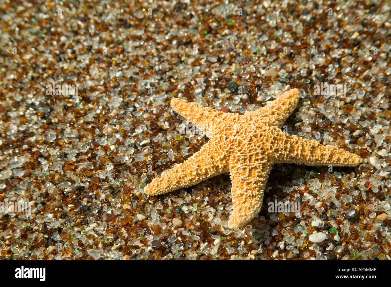 Kauai glass beach hi-res stock photography and images - Alamy