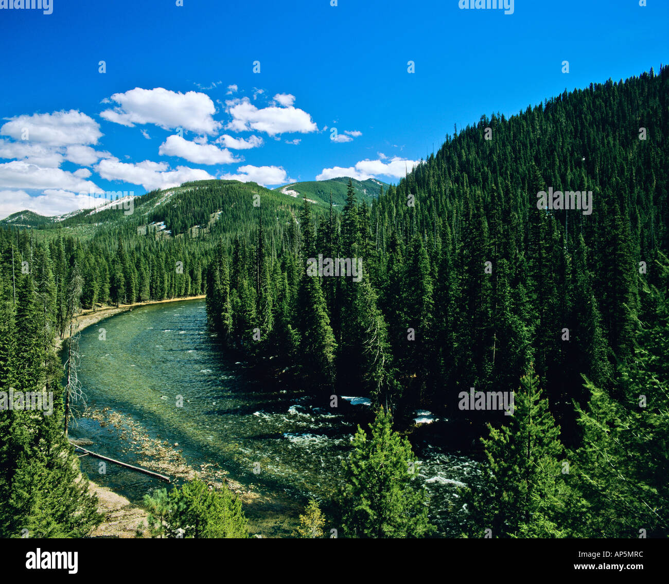 Lochsa river hi-res stock photography and images - Alamy